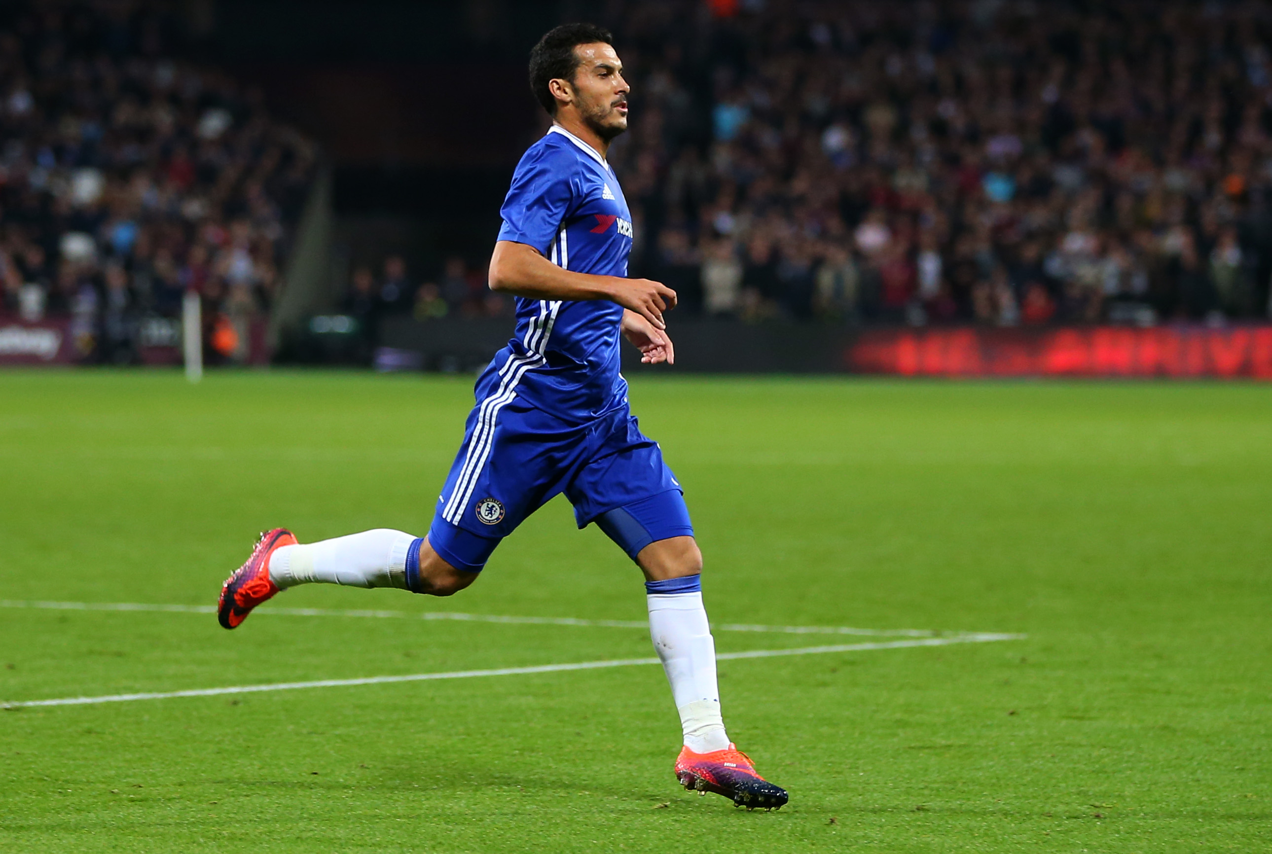 Pedro ready to play for and against his two best coaches