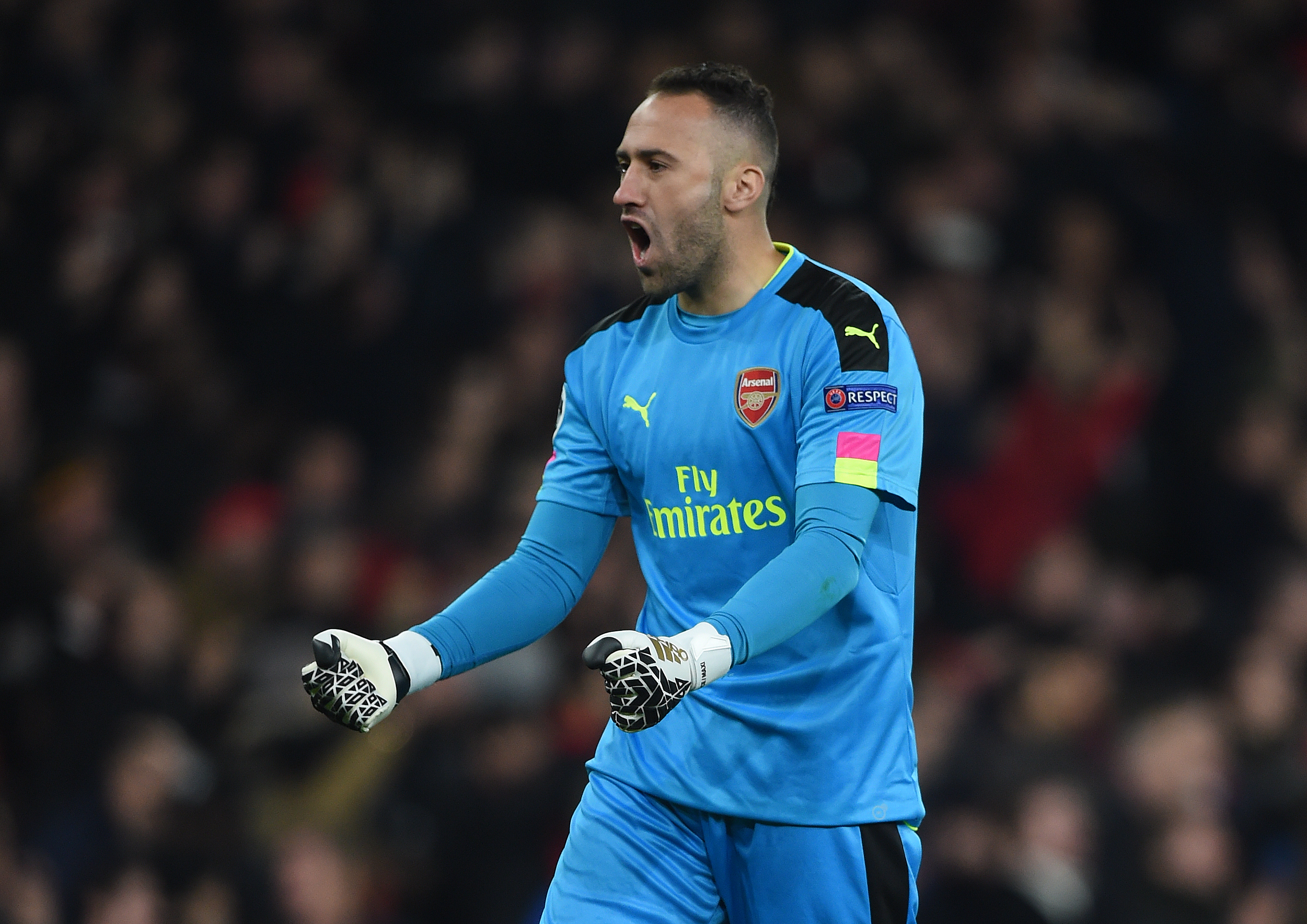 Arsenal: David Ospina Faith Hardly Worth Panicking Over