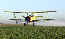 First Bugatti Chiron In The US: Watch The Hellbee Being Unwrapped