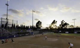 Write about the Alabama Crimson Tide for Bama Hammer