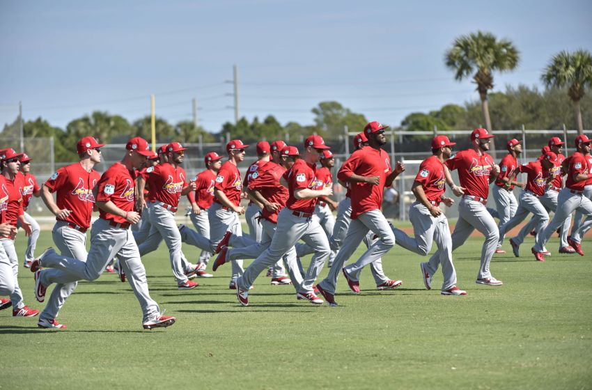 St. Louis Cardinals: Opening Day Roster Prediction, (Brendan's Edition)